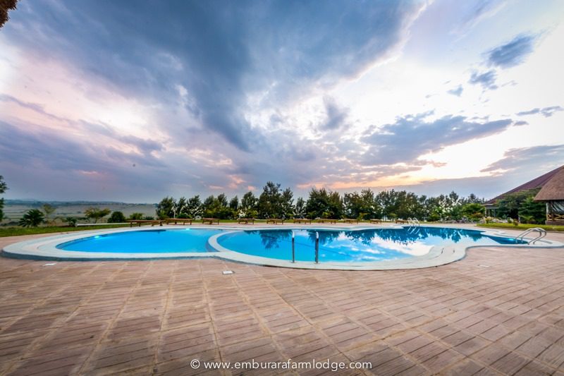 Travel & Tours: The Story of luxurious Emburara Farm Lodge – Showbizuganda