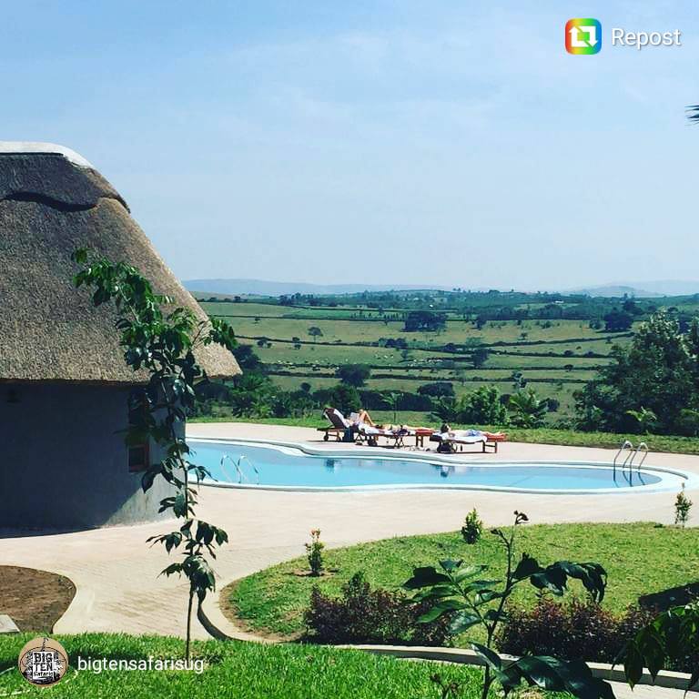 Travel & Tours: The Story of luxurious Emburara Farm Lodge – Showbizuganda