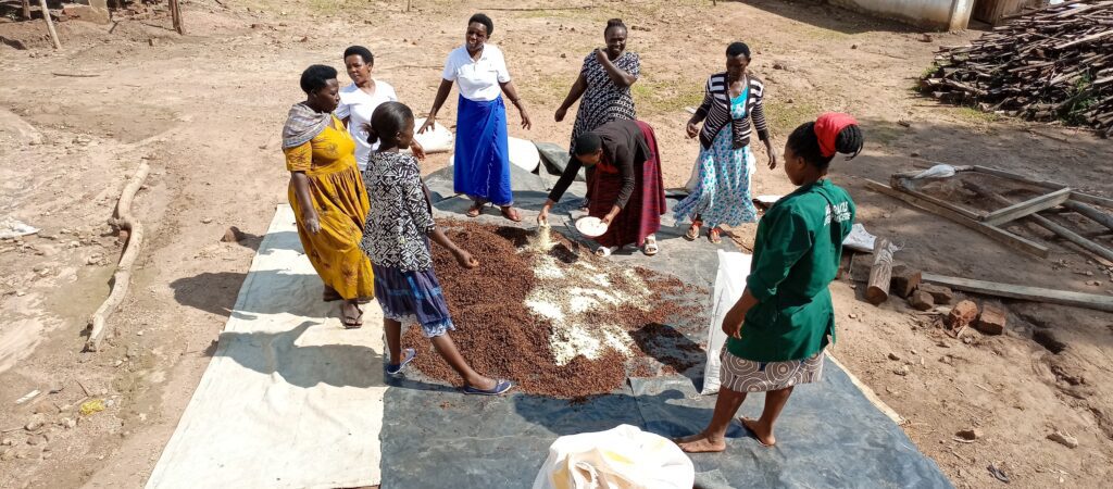 Kagiira Farm, Marianne Foundation sign a partnership to empower women ...