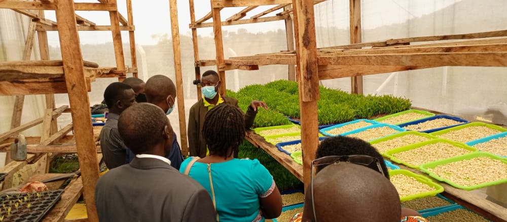 52 Youths graduate at Kagiira Skills Development Centre | Showbizuganda