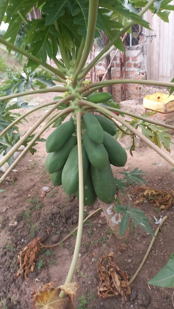 52 Youths graduate at Kagiira Skills Development Centre | Showbizuganda