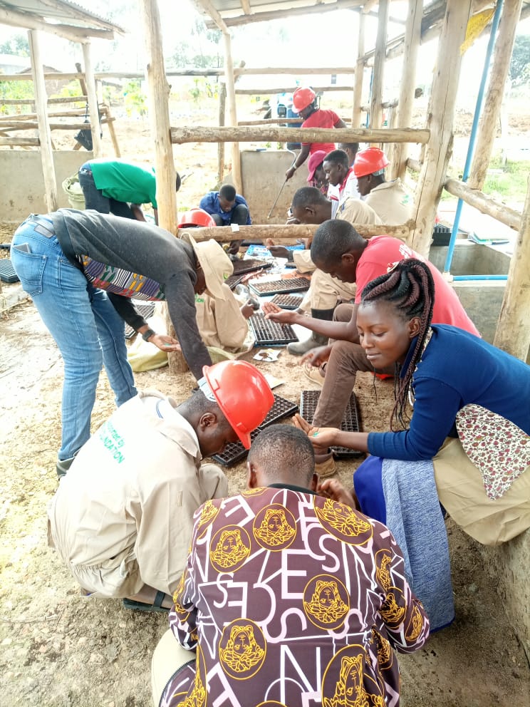 Kagiira Skills Development centre Skilling Youth in Modern agriculture ...