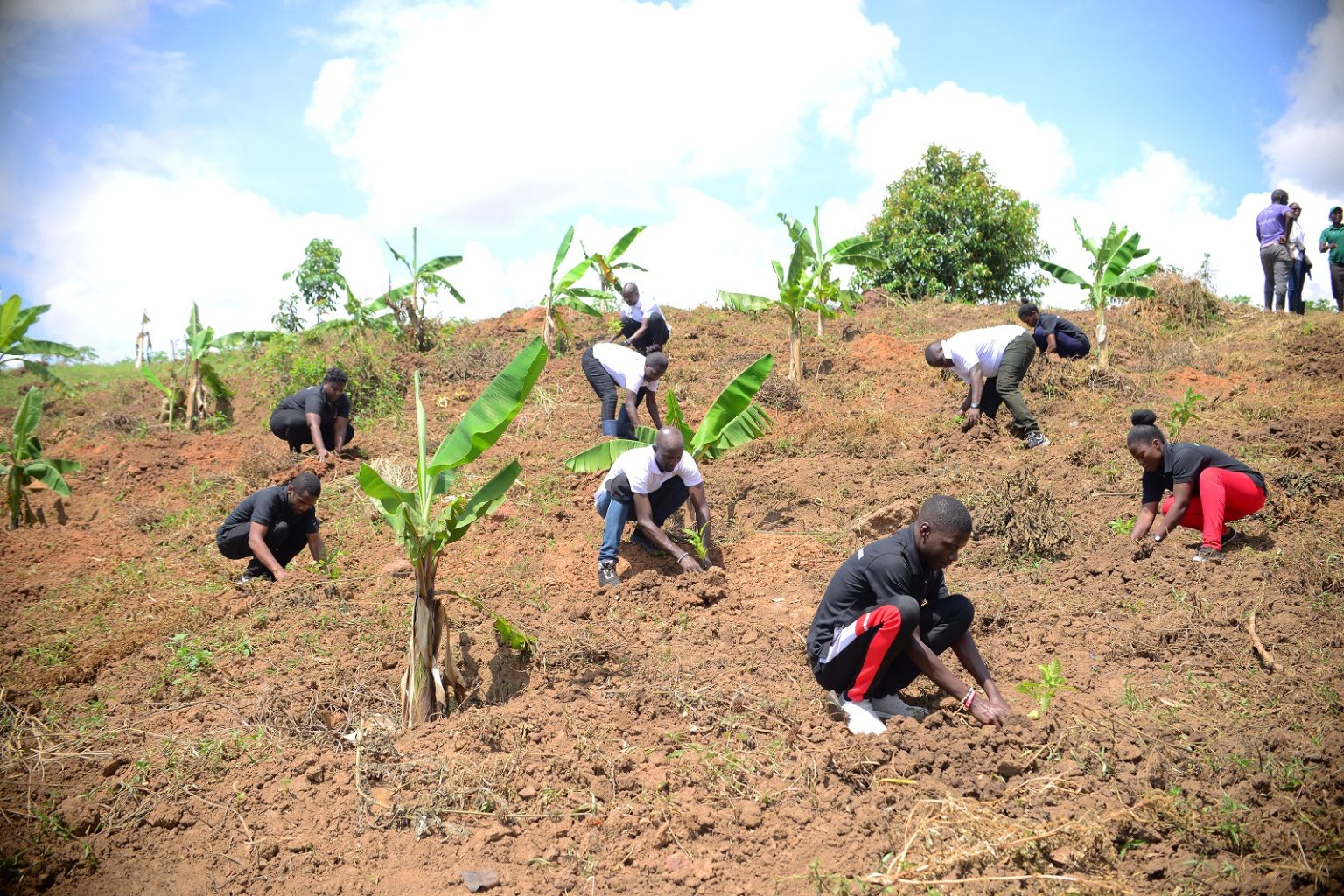 Corporate Companies plant 1 million trees to commemorate the National ...