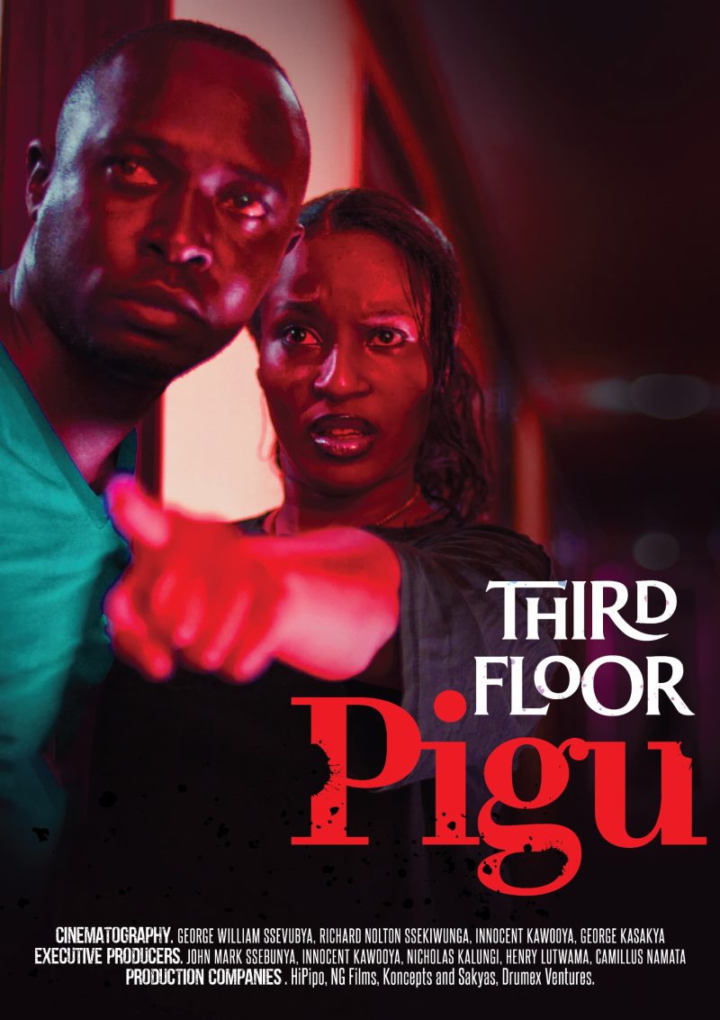Movie Review: What you need to know about the 'Third Floor Pigu ...